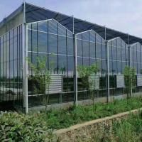 China Multi-Span Hydroponics Growing with Good Light Transmission and Customizable Options for sale