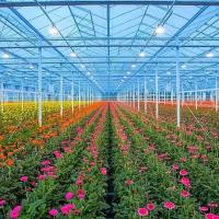 China Multi-Span Hydroponics Growing with Good Light Transmission and Customizable Options for sale