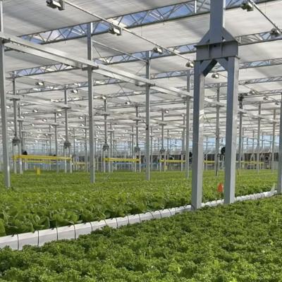 Cina JX-A0061 Sistema idroponico in serra di vetro per ortaggi 100.000kg Peso del pacchetto in vendita