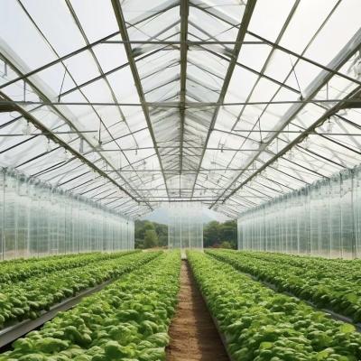 Cina Sistema di coltivazione idroponica in serra con schermo ombroso Struttura in acciaio in vendita