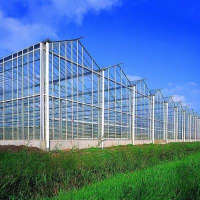 Cina Sistema idroponico in serra di vetro a prezzi ragionevoli per le esigenze agricole su larga scala in vendita
