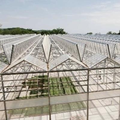 Cina Sistema idroponico in serra di vetro a prezzi ragionevoli per le esigenze agricole su larga scala in vendita
