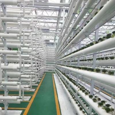 Cina Sistema idroponico per serre agricole su larga scala con metodo di riscaldamento temporaneo in vendita