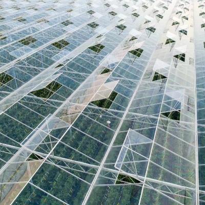 Cina Sistema idroponico in vetro per irrigazione a goccia commerciale con personalizzazione in vendita