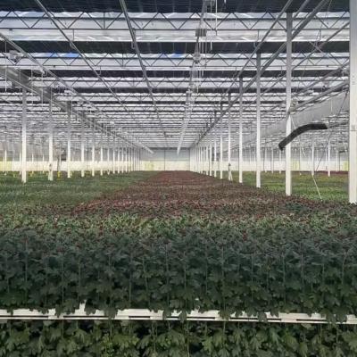 Cina Sistema idroponico in serra con personalizzazione e 100.000 kg di peso lordo del pacchetto in vendita