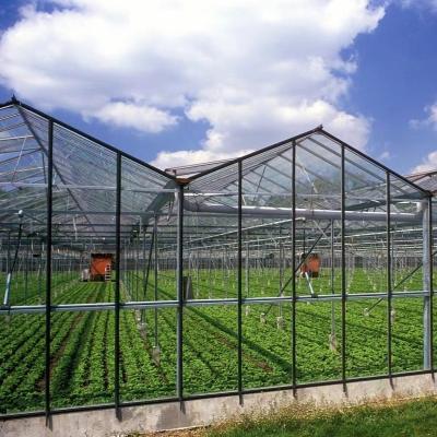 Cina Sistema idroponico in serra con personalizzazione e 100.000 kg di peso lordo del pacchetto in vendita