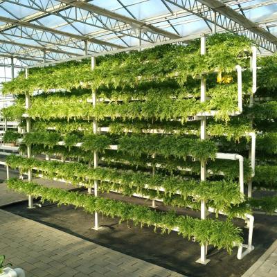 Cina Float mono strato vetro cavo serra idroponica perfetto per l'agricoltura idroponica in vendita