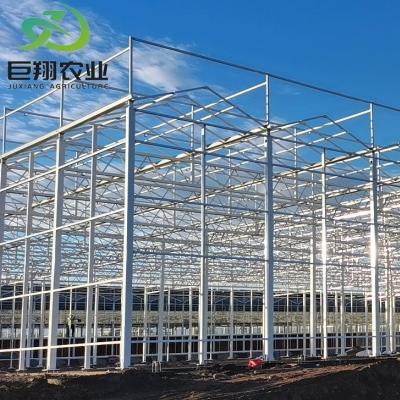 Cina Vitro chiavi in mano e copertura della capacità produttiva Serra di produzione per l'agricoltura verticale in vendita