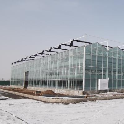 Cina Serra agricola con copertura di vetro in vendita