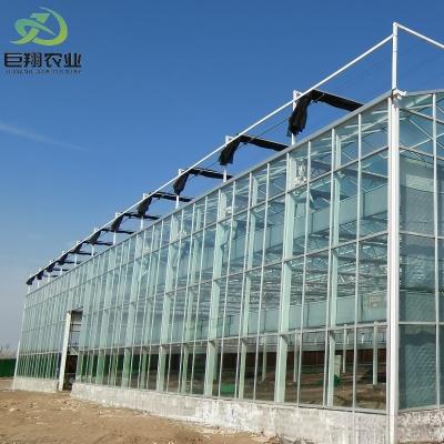Cina Serra agricola con copertura di vetro in vendita