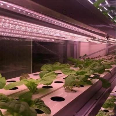 Cina Serra di illuminazione controllata con spruzzo d'acqua a doppio strato per soluzioni di piantagione in vendita
