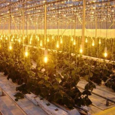 Cina Serra di illuminazione controllata con spruzzo d'acqua a doppio strato per soluzioni di piantagione in vendita