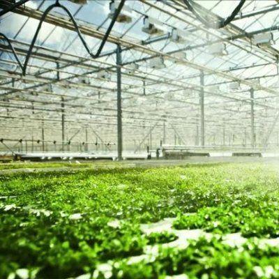 Cina Serra di illuminazione controllata con spruzzo d'acqua a doppio strato per soluzioni di piantagione in vendita
