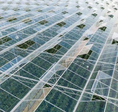 Cina Metodo di coltivazione idroponica riscaldamento commerciale giardino serra di vetro per le piante in vendita