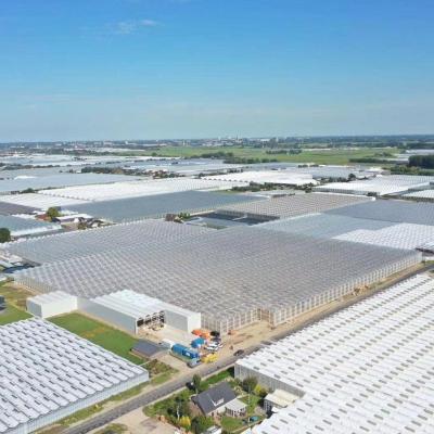 Cina Struttura di tubi in acciaio galvanizzato a caldo materiale vetro temperato serra per cetriolo in vendita