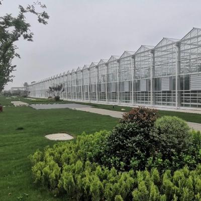 Cina Struttura in acciaio Irrigazione a goccia Serra di vetro per piante Tetti a forma di tetto in vendita