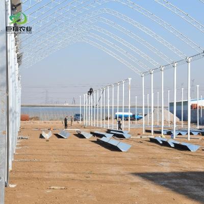 Cina Serra di privazione luminosa automatica al 100% per il Canada / Stati Uniti in vendita
