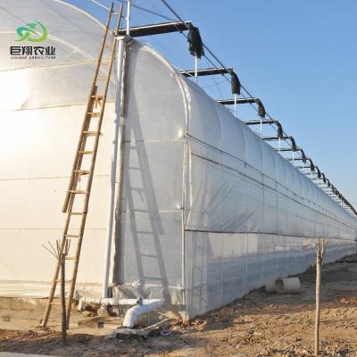 Cina Serra a pellicola multi-span personalizzata per pomodori/comori/peperi/fresche idroponiche in vendita