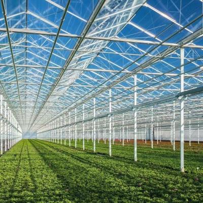 Cina US 20 per metro quadrato Serra di vetro Ju Xiang per la coltivazione di verdure Pagamento completo in vendita