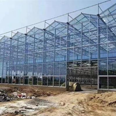 Cina Serra in vetro a strato singolo per l'orticoltura personalizzata alle vostre esigenze in vendita