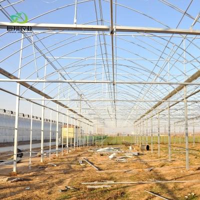 Cina 8m 9,6m 12m film di plastica su misura con sistema di coltivazione idroponica in vendita