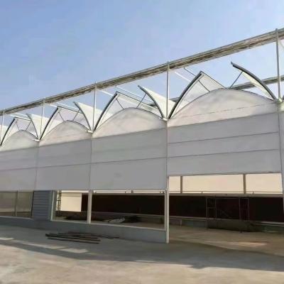 Cina 8m 9,6m 12m film di plastica su misura con sistema di coltivazione idroponica in vendita