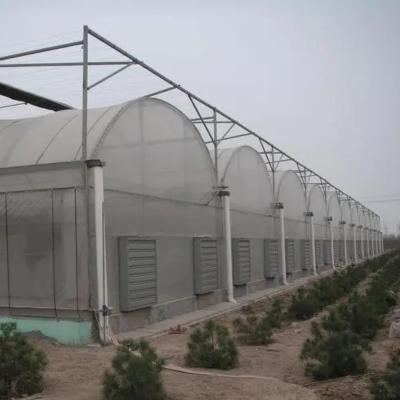 Cina Sistema idroponico di irrigazione per fragole/fiori/verdure Serra in plastica galvanizzata in acciaio in vendita