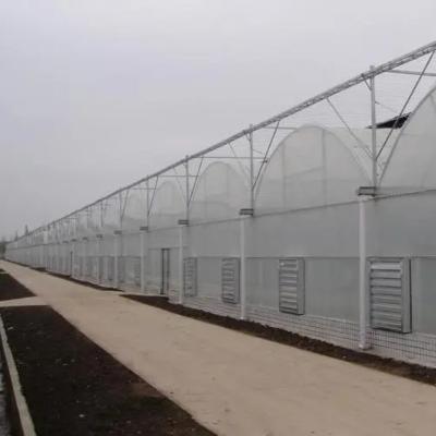 Cina Sistema idroponico di irrigazione per fragole/fiori/verdure Serra in plastica galvanizzata in acciaio in vendita