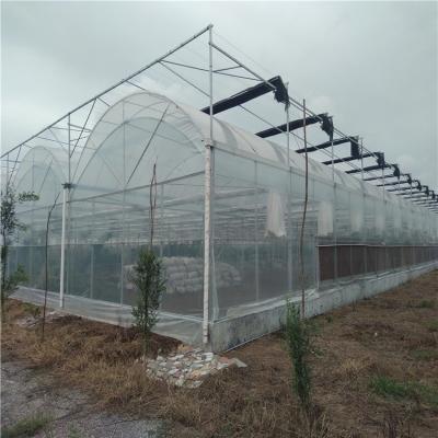 Cina Sistema idroponico di irrigazione per fragole/fiori/verdure Serra in plastica galvanizzata in acciaio in vendita