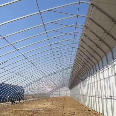 Cina Struttura di tubi in acciaio galvanizzato a caldo per impianti idroponici e varie colture in vendita