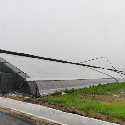 Cina Struttura di tubi in acciaio galvanizzato a caldo per impianti idroponici e varie colture in vendita