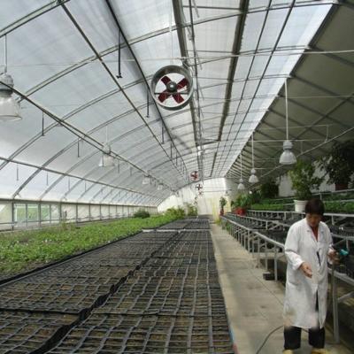 Cina Struttura di tubi in acciaio galvanizzato a caldo per impianti idroponici e varie colture in vendita