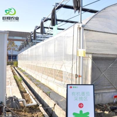 Cina Tetti ad arco multispan idroponica pellicola di plastica serra agricola per aziende agricole in vendita