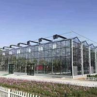 China Double Layer Greenhouse Canopy with Good Light Transmission and Multi Span Function for sale