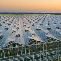 China Double Layer Greenhouse Canopy with Good Light Transmission and Multi Span Function for sale