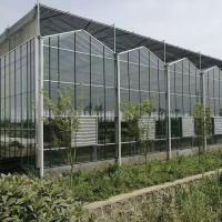 China Double Layer Greenhouse Canopy with Good Light Transmission and Multi Span Function for sale