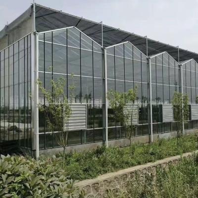 China Canopy de estufa de duas camadas com boa transmissão da luz e função multi-espansão à venda