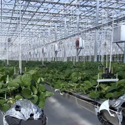 China Canopy de estufa de duas camadas com boa transmissão da luz e função multi-espansão à venda