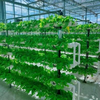 China Canopy de estufa de duas camadas com boa transmissão da luz e função multi-espansão à venda