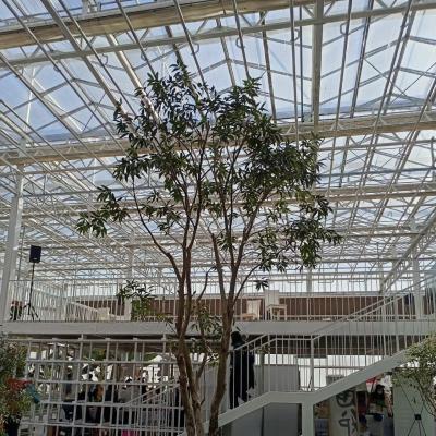 Cina Tipo di tetto Serra in vetro con buona trasmissione luminosa per fiori a pagamento iniziale in vendita