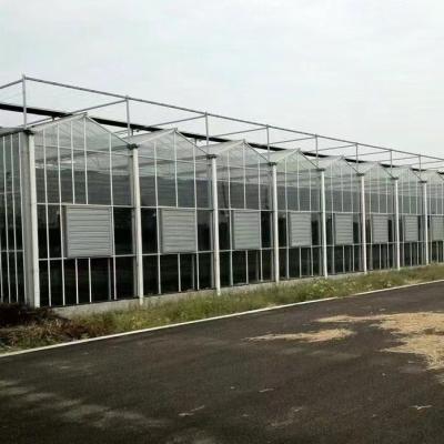 Cina Serre in vetro idroponico a schermo multi-ombreggiamento per fiori all'interno di US JX-A00249 in vendita