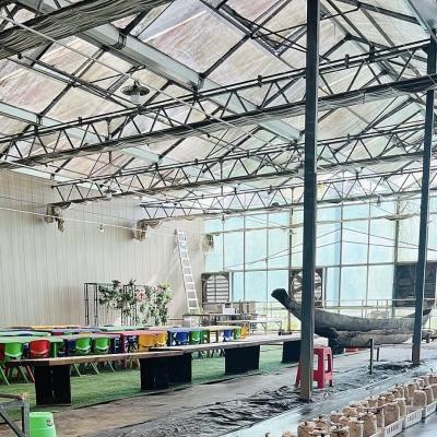Glass Greenhouse with Hydroponic System Durable Glass Cover and Affordable Shipping