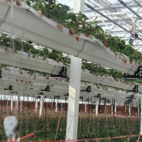 China Double Layer Multi-System Glass Greenhouse for Flower Growing Initial Payment Required for sale