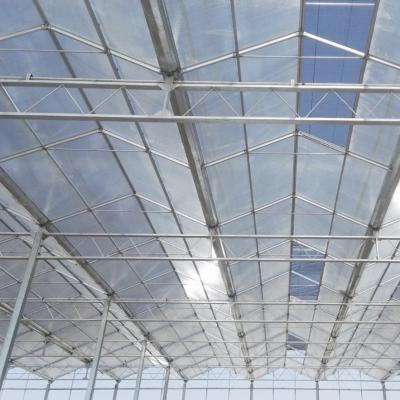 Cina Serra in vetro a doppio strato a prezzi accessibili US 20/metro quadrato Sistema di fiore idroponico in vendita