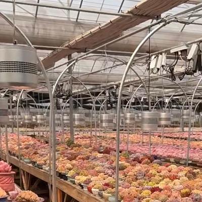 Cina Serra in vetro galleggiante per verdure Multi Span Design richiesta personalizzata accettata in vendita