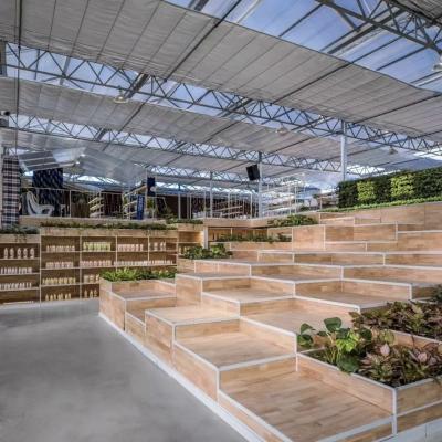 Cina Serra in vetro galleggiante per verdure Multi Span Design richiesta personalizzata accettata in vendita