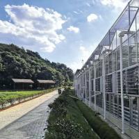 China Float Glass Greenhouse for Vegetables Multi Span Design Customized Request Accepted for sale