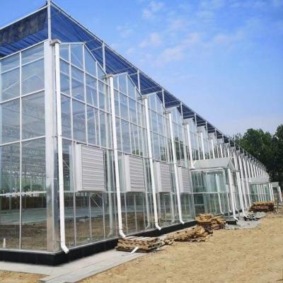 Cina Richiesta personalizzata per impianto di serra commerciale di vetro per irrigazione a goccia in vendita