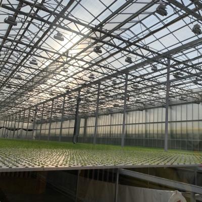 Cina Serre di vetro elegante con impianto per ortaggi idroponici Migliora l'efficienza agricola in vendita