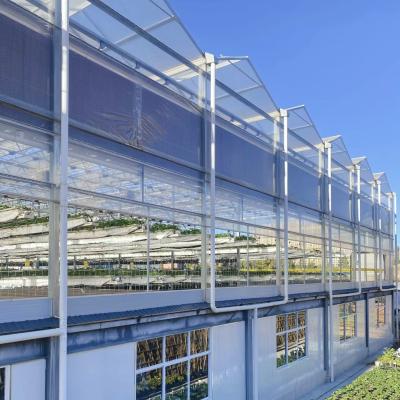 Cina Serre di vetro elegante con impianto per ortaggi idroponici Migliora l'efficienza agricola in vendita